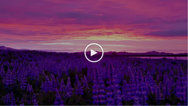 HTML、CSS、Javascriptをリアルタイム編集できるWebサービス Liveweave | WordPressのための便利帳
