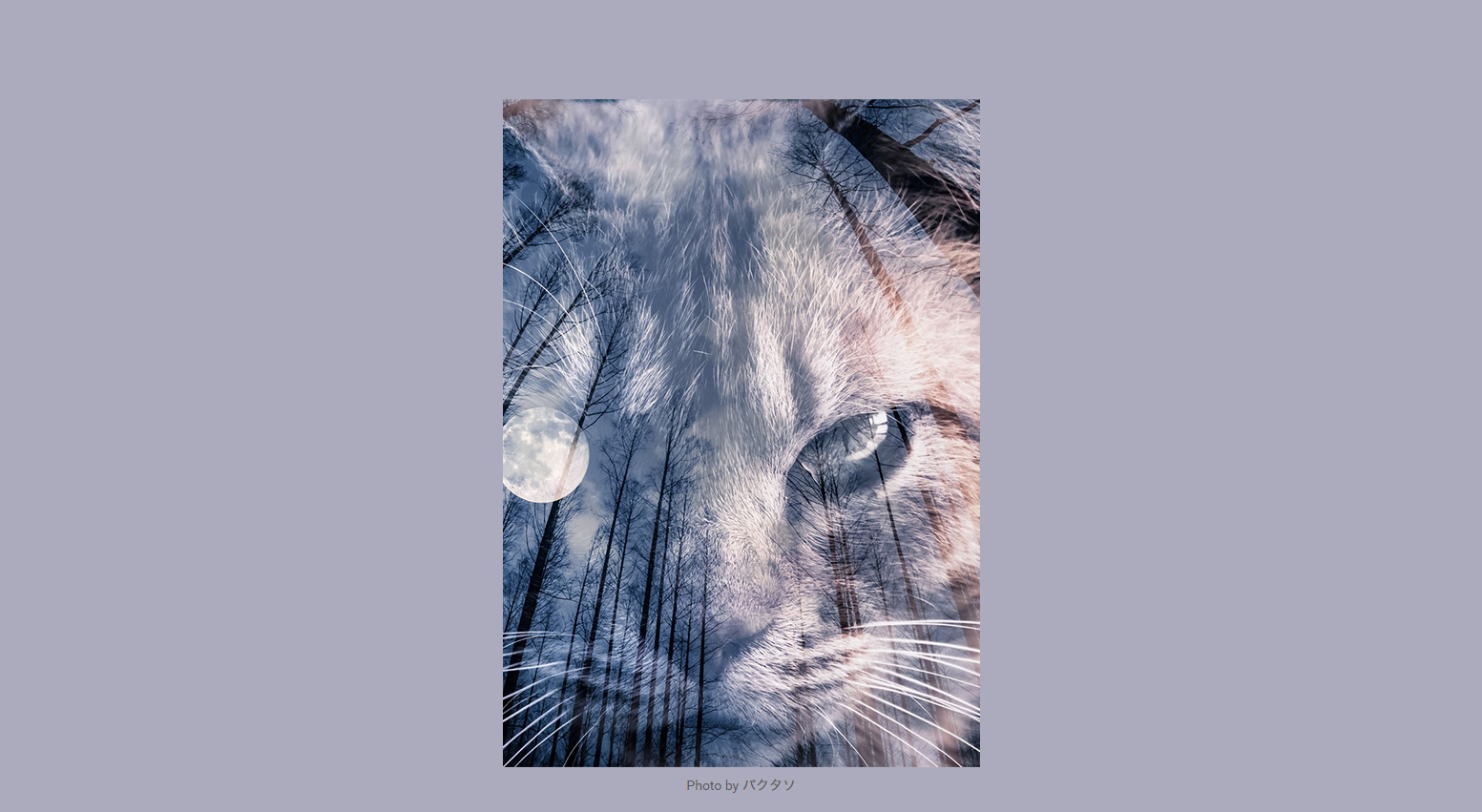 画像に使われている色を抽出して、背景色を自動設定できるjQueryプラグイン「adaptive-backgrounds.js」 | WordPressのための便利帳