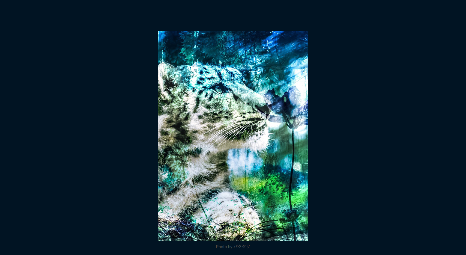 画像に使われている色を抽出して、背景色を自動設定できるjqueryプラグイン「adaptive Backgrounds Js」 Wordpressのための便利帳